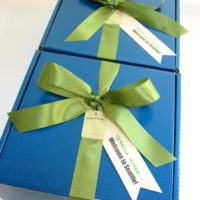 Seattle Box | bumble B design